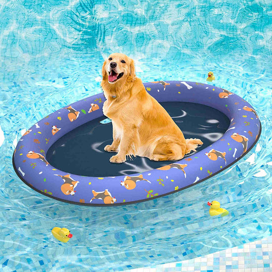 Dog Float Raft, Inflatable Dog Swimming Float for Summer, Grey Paw, 1 ...